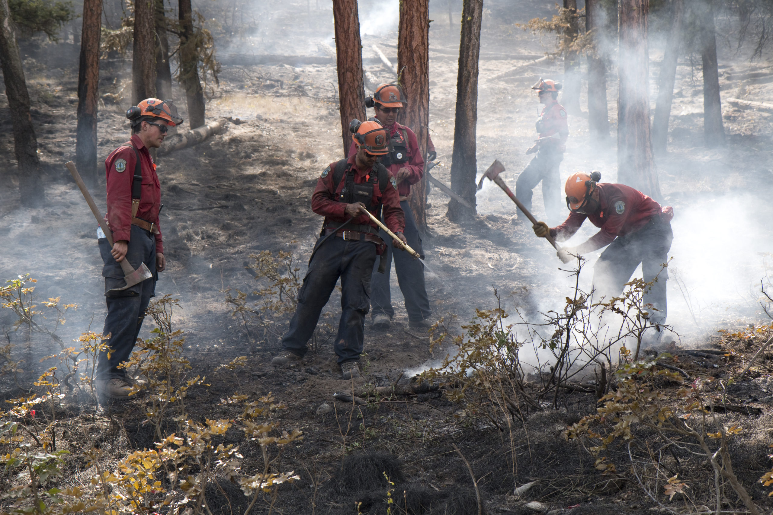 Lowest human-caused wildfire seasons on BC records in 70+ years - B.C ...